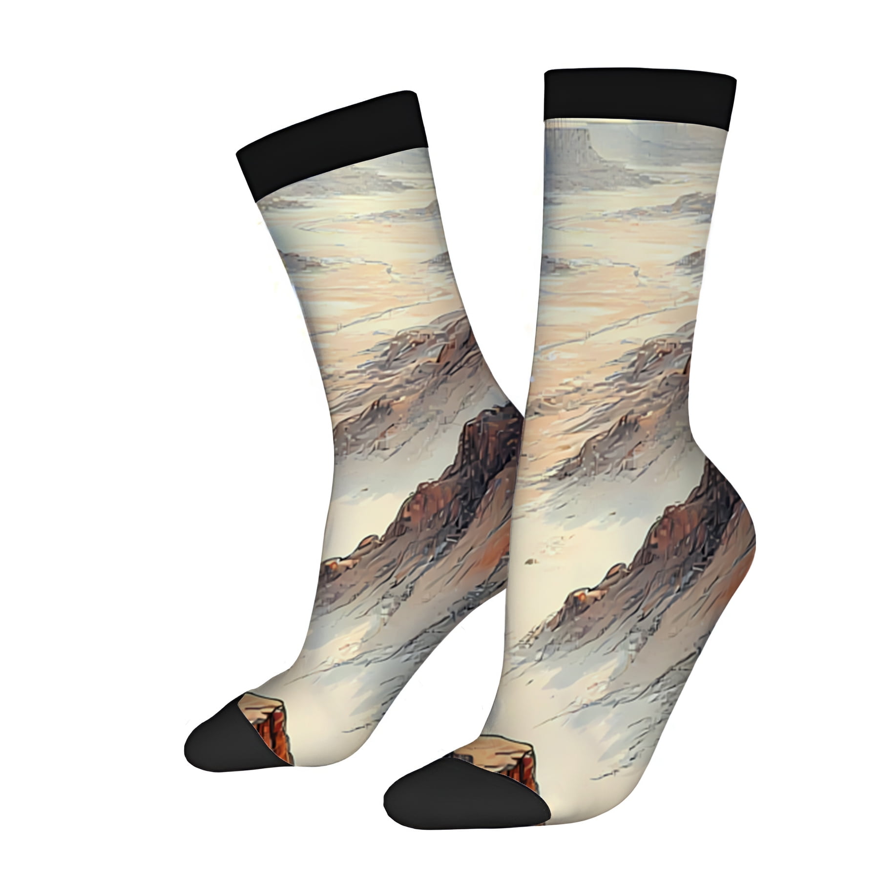 Four Seasons Universal Socks (2 Pairs) - Scenic Desert Landscape Design ...