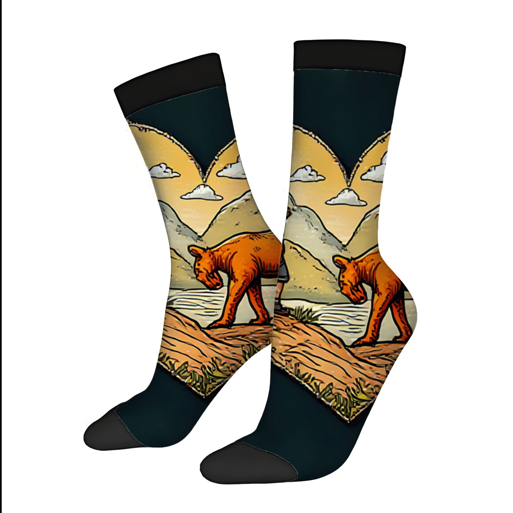 Four Seasons Universal Socks (2 Pairs) Unisex Trendy Socks with Vibrant ...