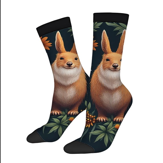 Four Seasons Universal Socks - 2 Pairs of Unisex Trendy Socks with ...