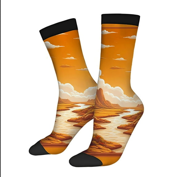 Four Seasons Universal Socks 2 Pairs of Unisex Trendy Socks with ...