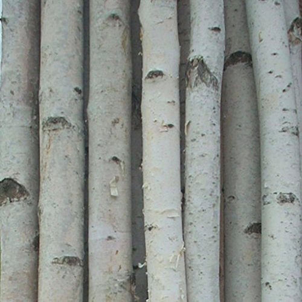 Four Thick White Birch Poles 4 ft - Walmart.com