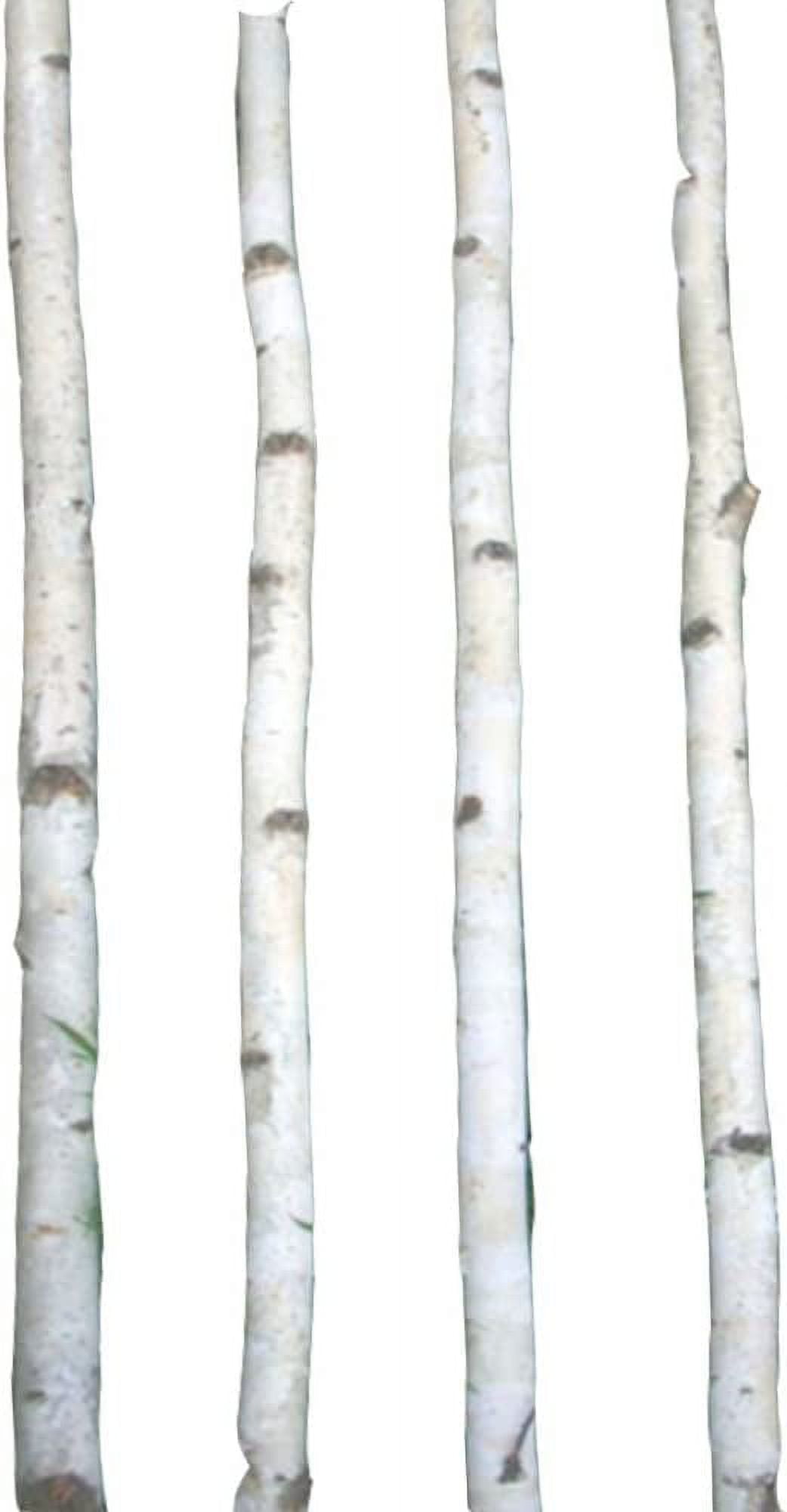 Four Thin White Birch Poles 4 ft - Walmart.com