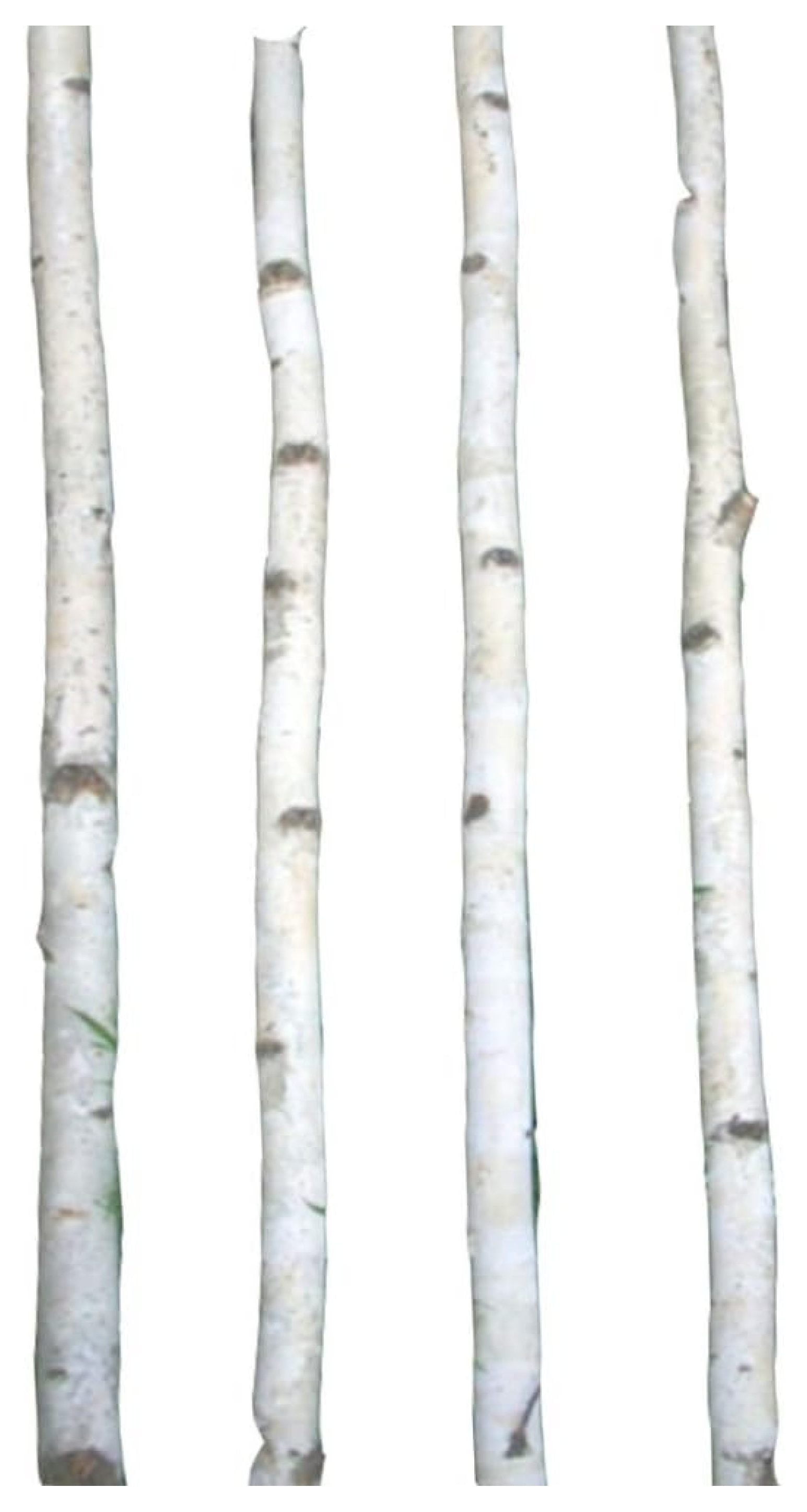 Four Thin White Birch Poles 8 ft - Walmart.com