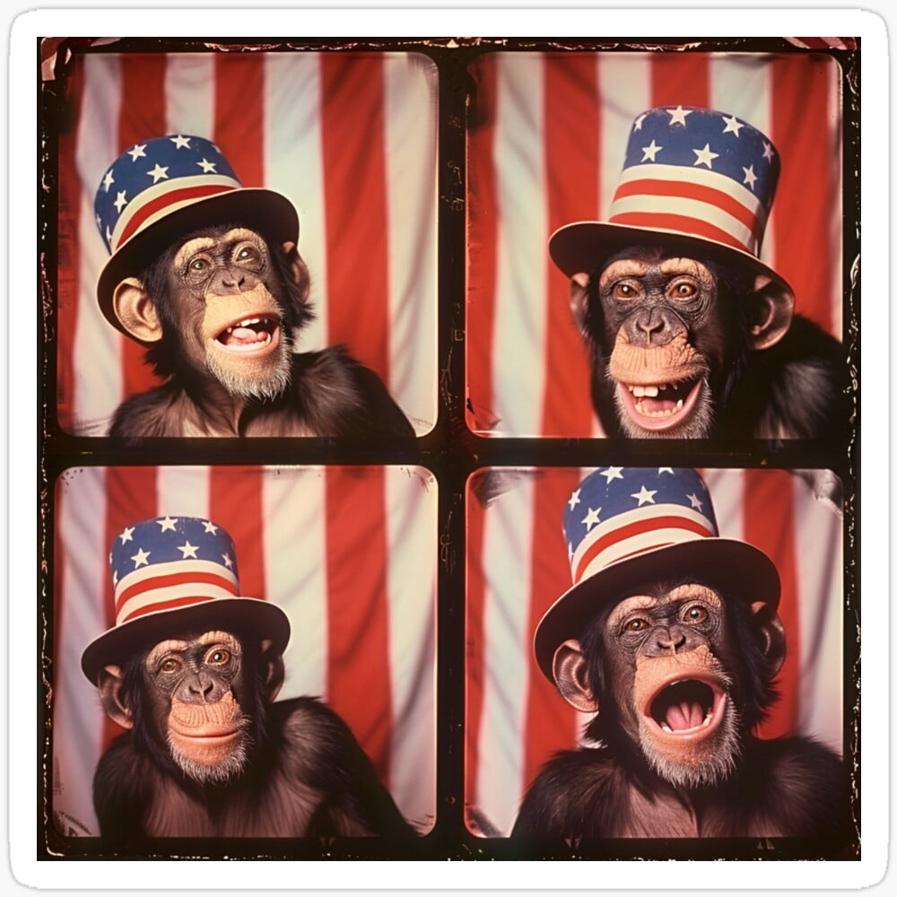 Fourth Of July Monkey In American Flag Hat Cute Patriotic Animal ...