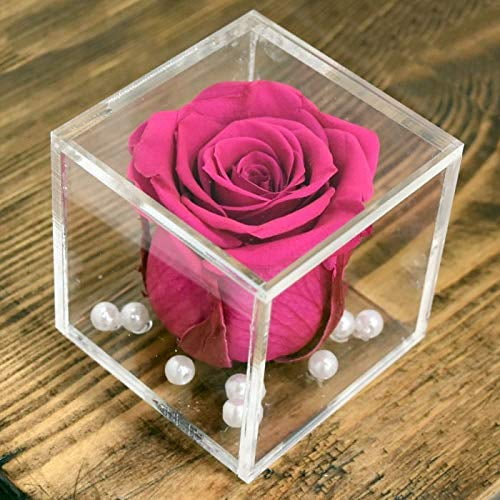 Fourthline Acrylic Real Preserved Long Lasting Forever Eternal Rose ...