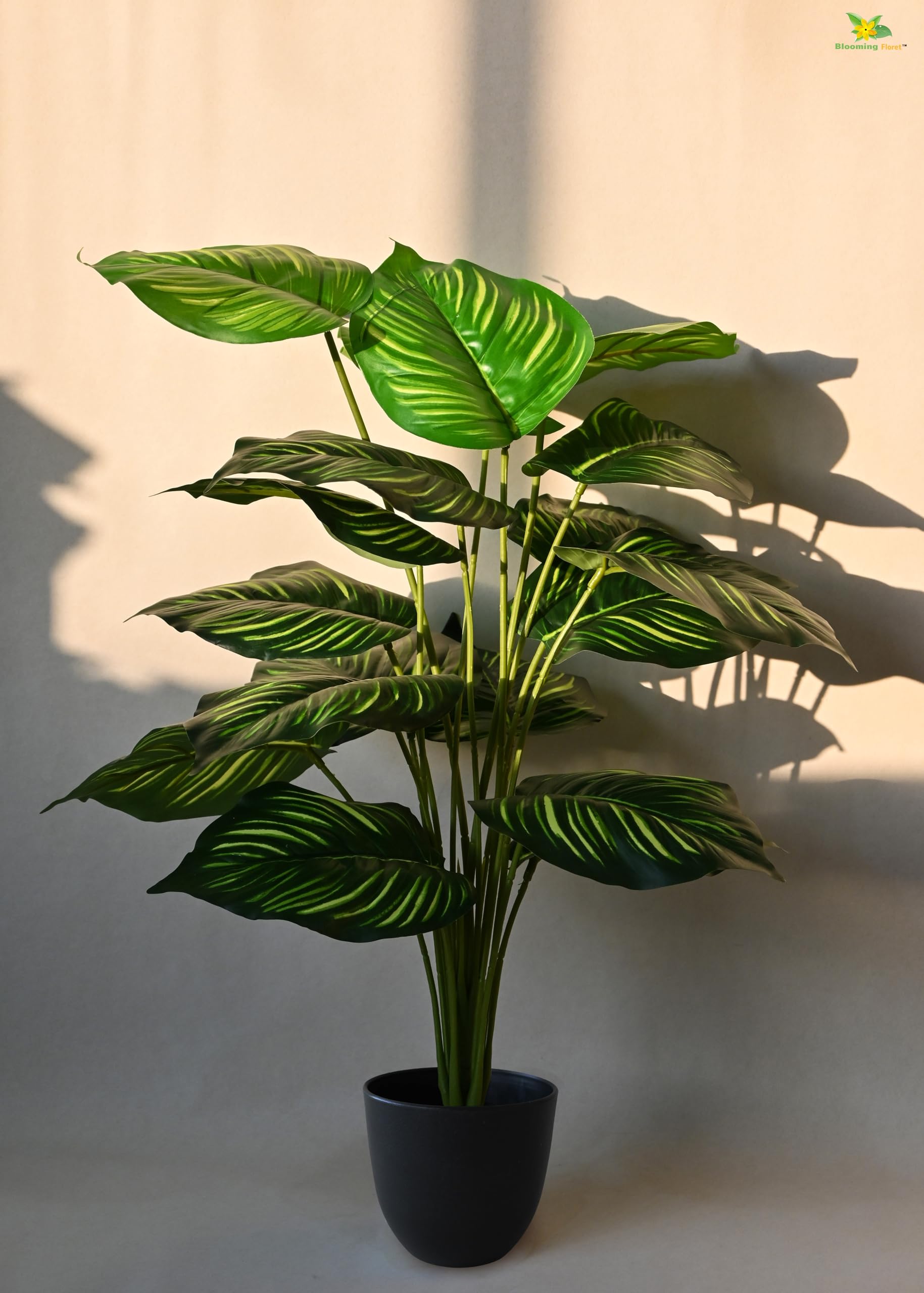 Fourthline Artificial Calathea Orbifolia Plant for Home Decor/Office ...