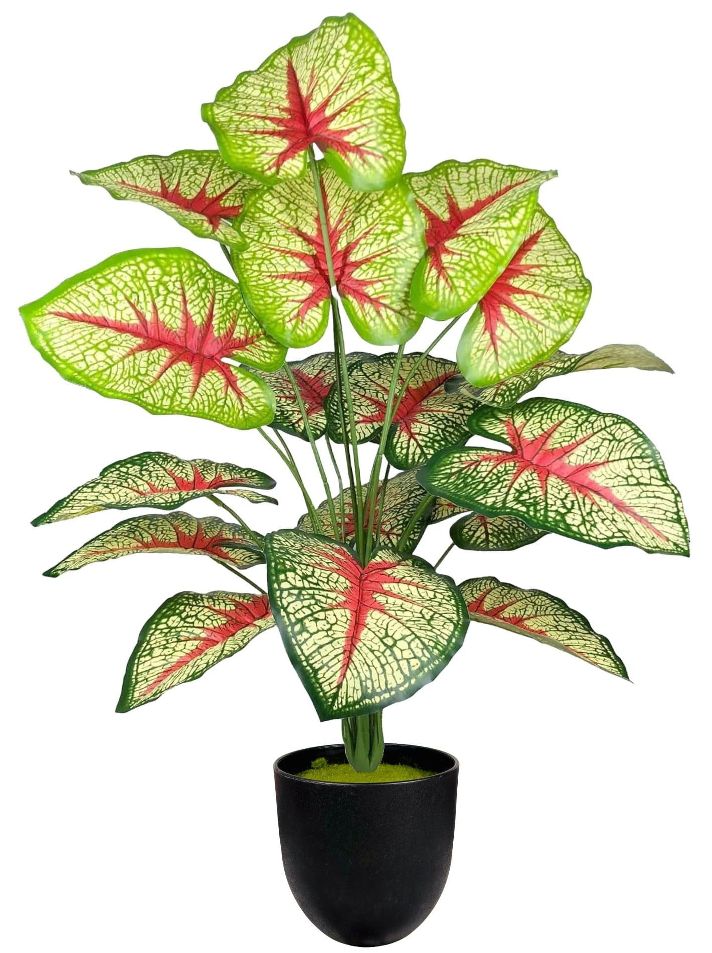 Fourthline Plastic Artificial Palm Plants Leaves Faux Turtle Leaf Fake ...