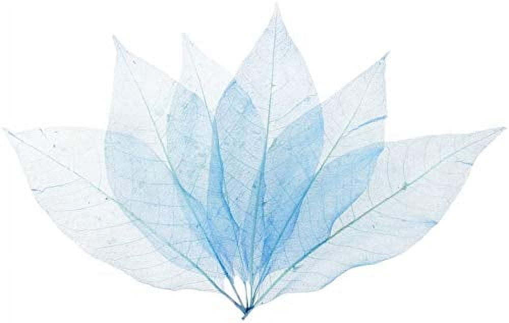 Fourthline Resin Natural Real Dried Skeleton Leaves (Aquamarine Blue ...