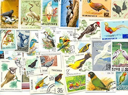Fourthline Theme Birds All Large and Small 100 Different Stamps ...