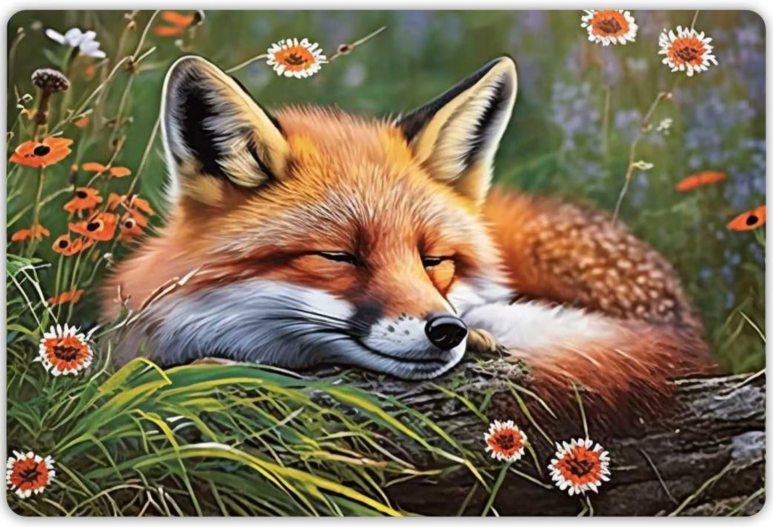 Fox Animal Diamond Art Kits For Adults,Sleeping Fox 5D Diamond Art For ...