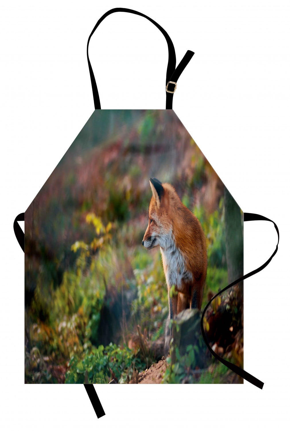 Fox Apron Young Red Fox Listening to Something in Woodland Forest ...