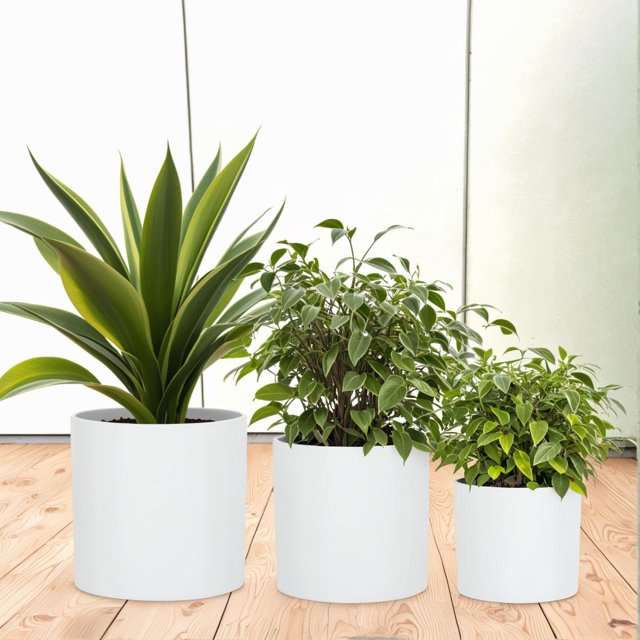 Fox & Fern Matte White Plant Pots with Drainage Plug (Set of 3 ...