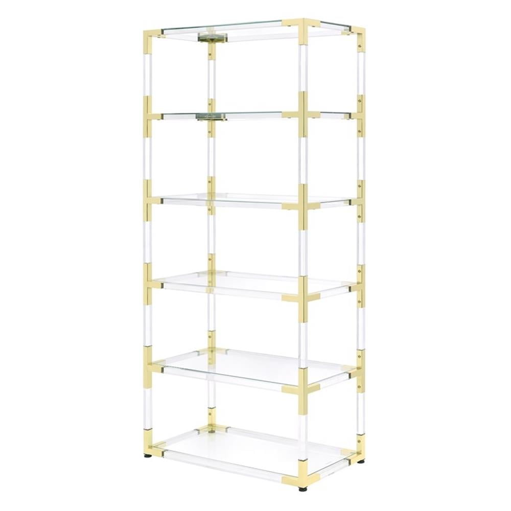 Fox Hill Trading Pure Decor Lucite Acrylic Bookcase with 6 Shelf in ...