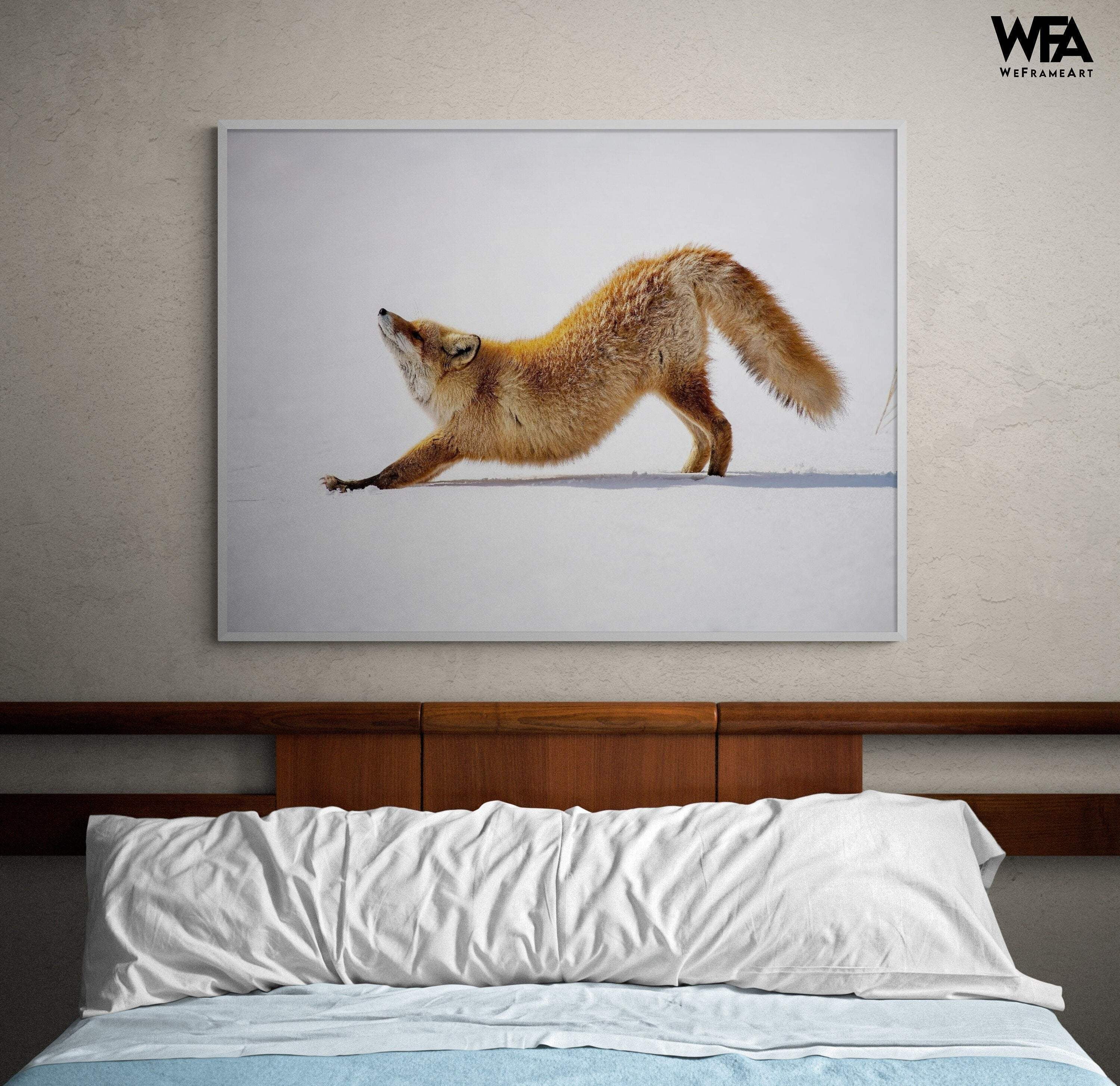 Fox Photography Wall Decor, Framed Red Fox Art, Wild Rex Fox In Field ...
