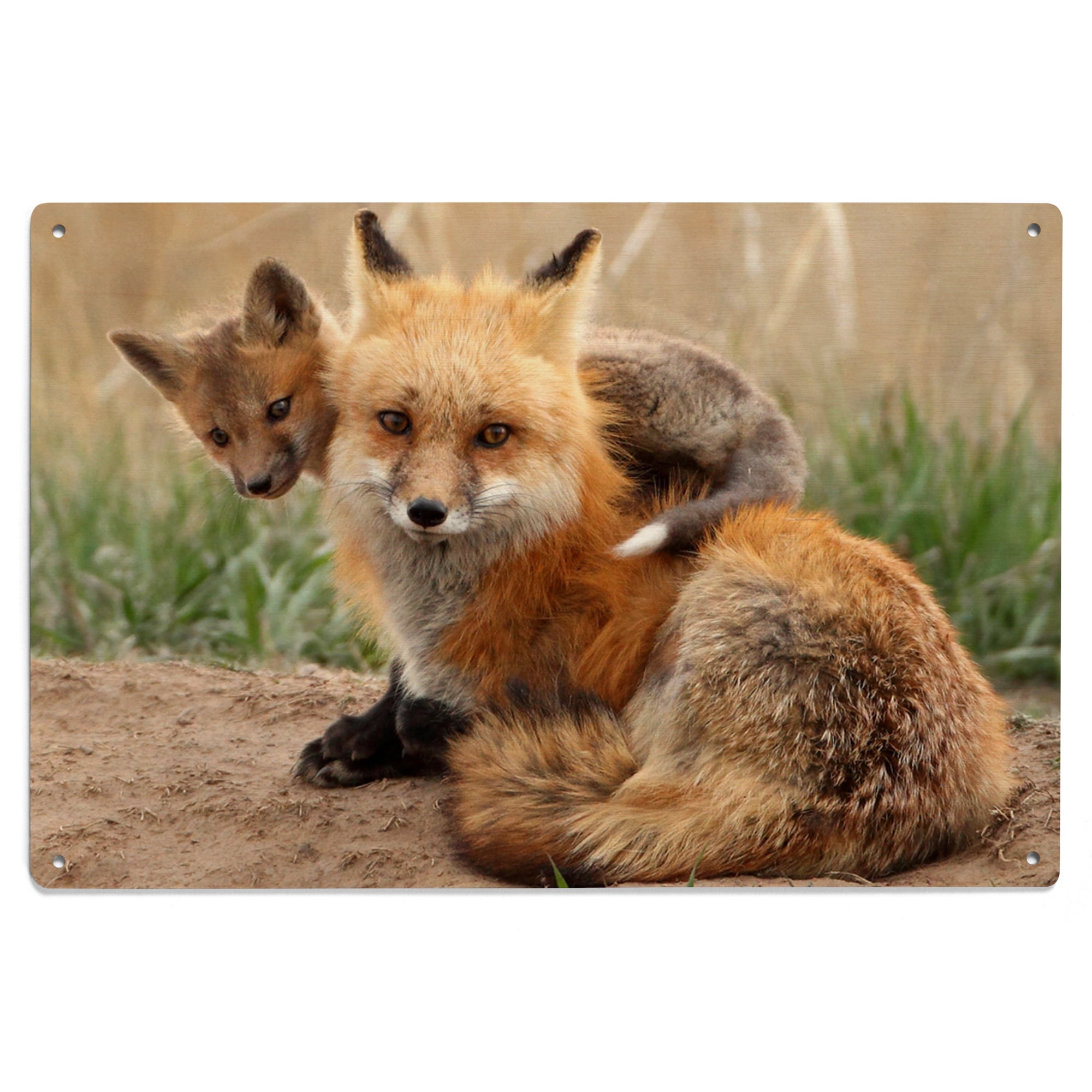 Fox and Kit Birch Wood Wall Sign (6x9 Rustic Home Decor, Ready to Hang ...