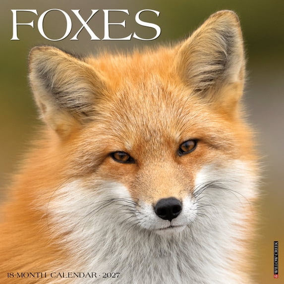 Foxes 2027 12 X 12 Wall Calendar, (Paperback) - Walmart.com