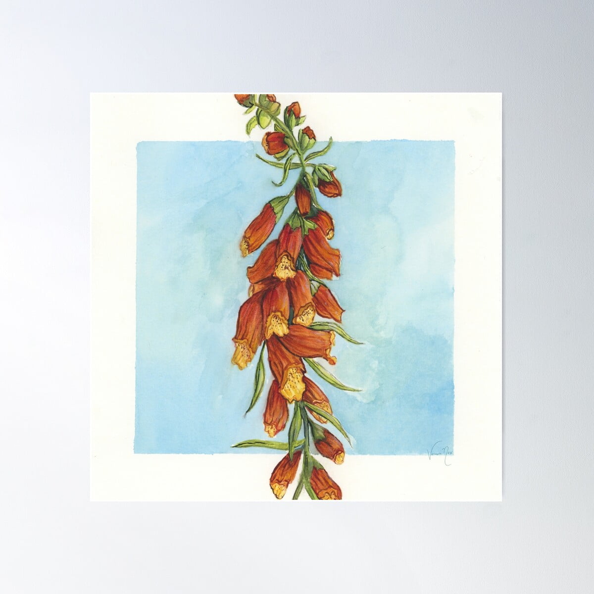 Foxglove In Watercolour Poster Wall Art, Modern Wall Decor For Living ...