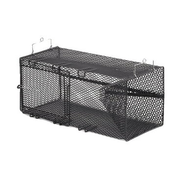 Frabill Fishing Black Minnow Trap, Rectangular 8"x 8"x 18" - Walmart.com