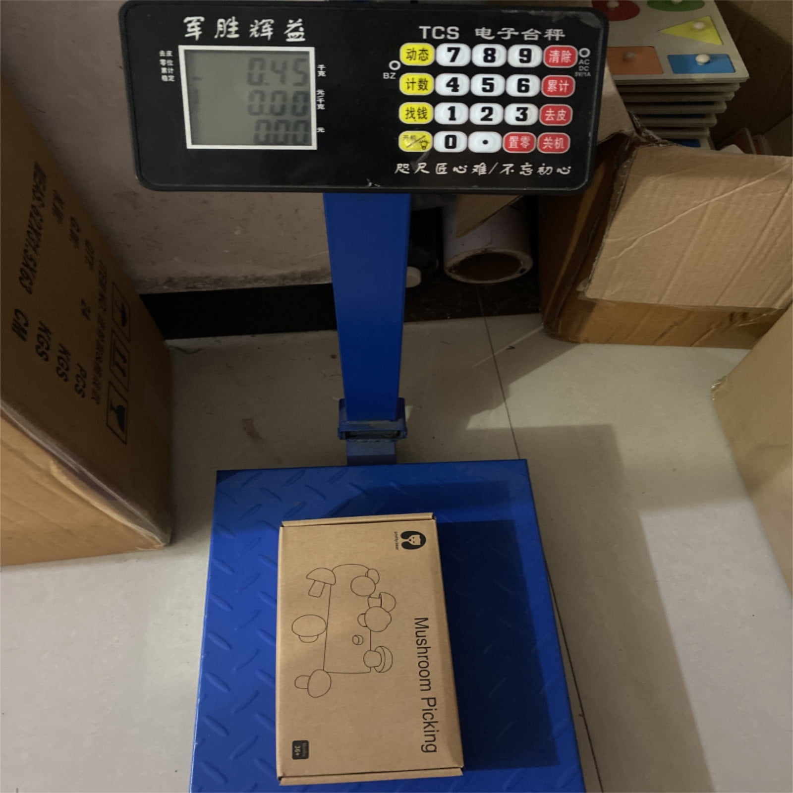 Fraction Fun with for Kids Kids Side by Side Battery Operated Animal ...