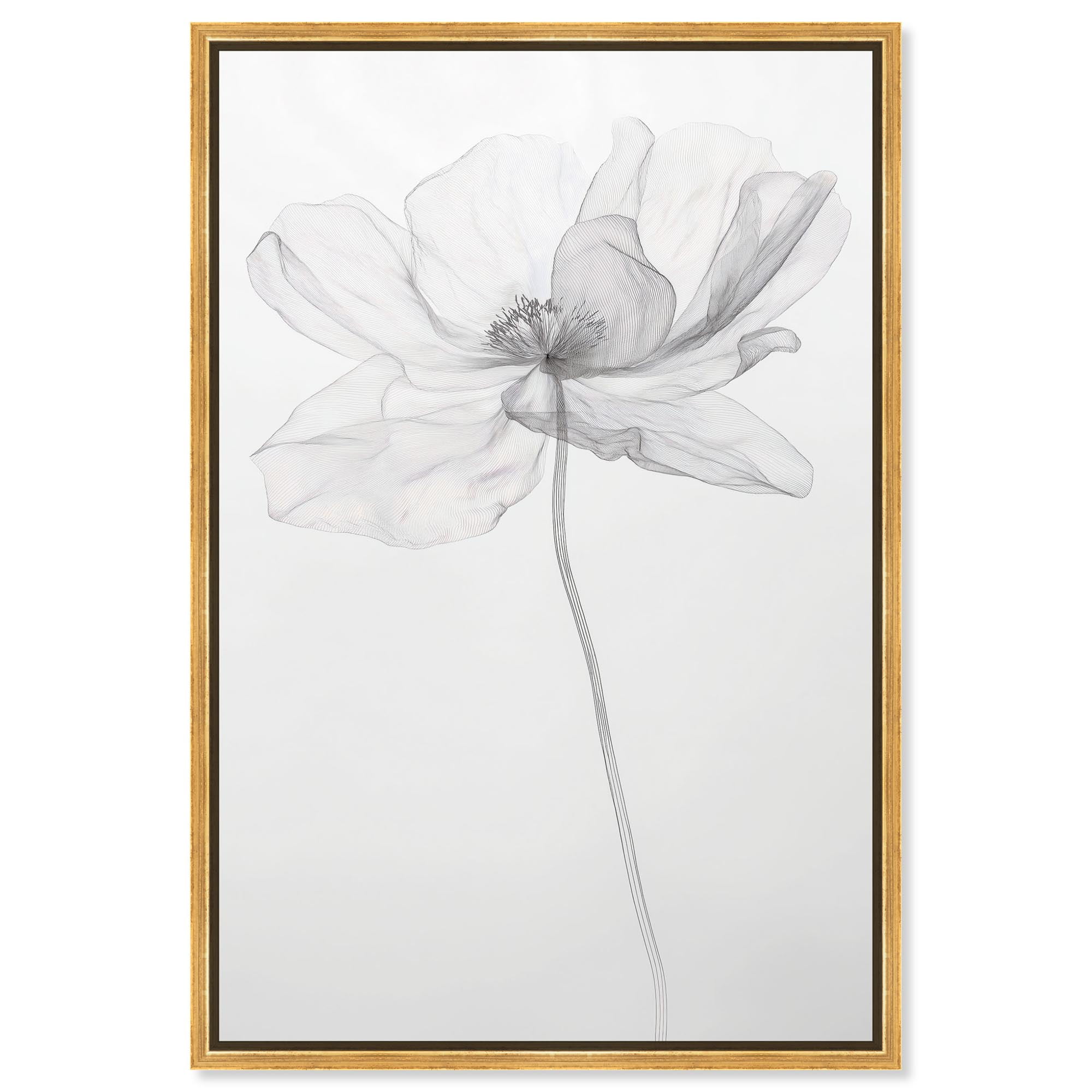 Fragile Beauty I Canvas Elegant Floral Art by Art Remedy, Gold Frame ...