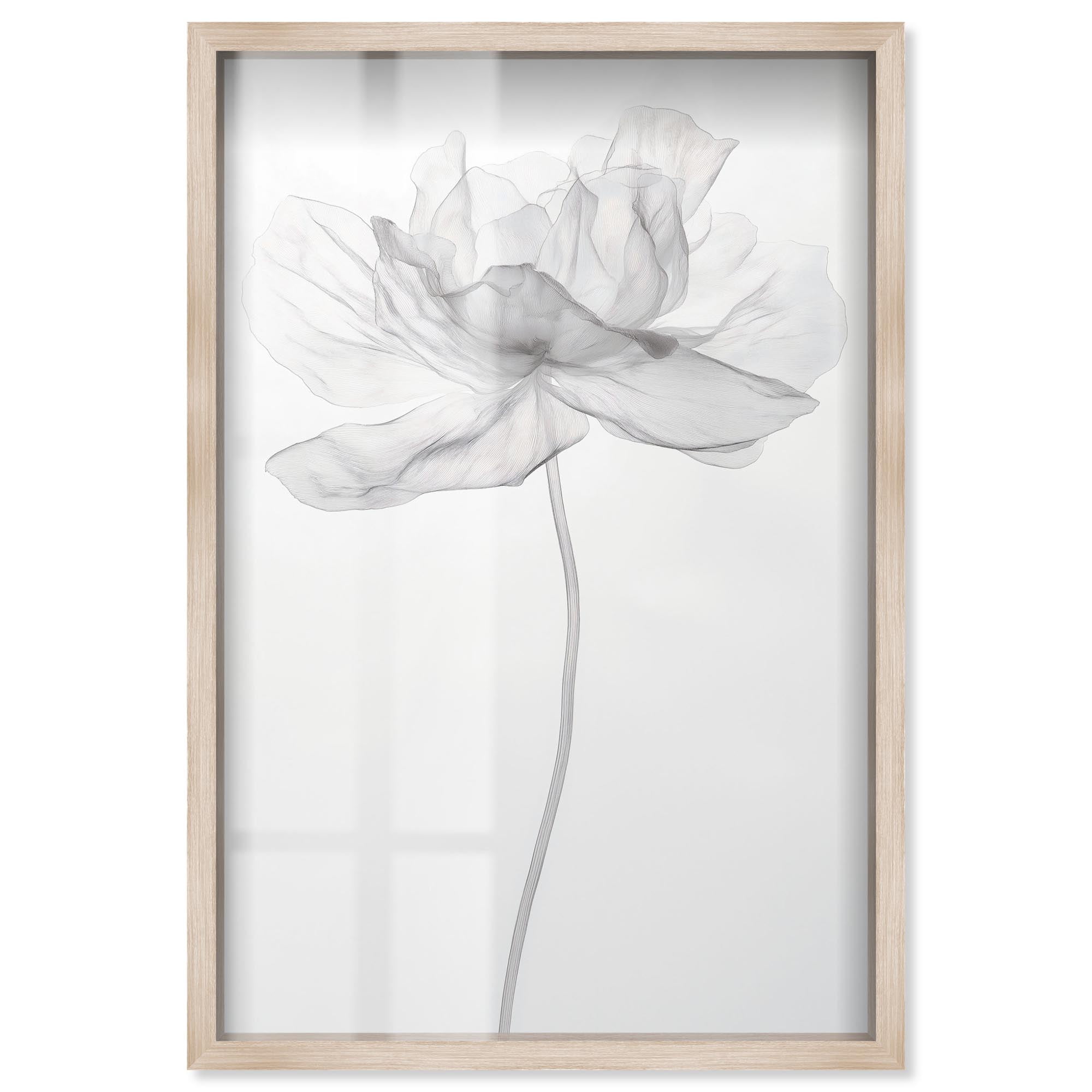 Fragile Beauty II Shadowbox Print Elegant Floral Art by Art Remedy, Blonde Frame, 36 x 54 ...