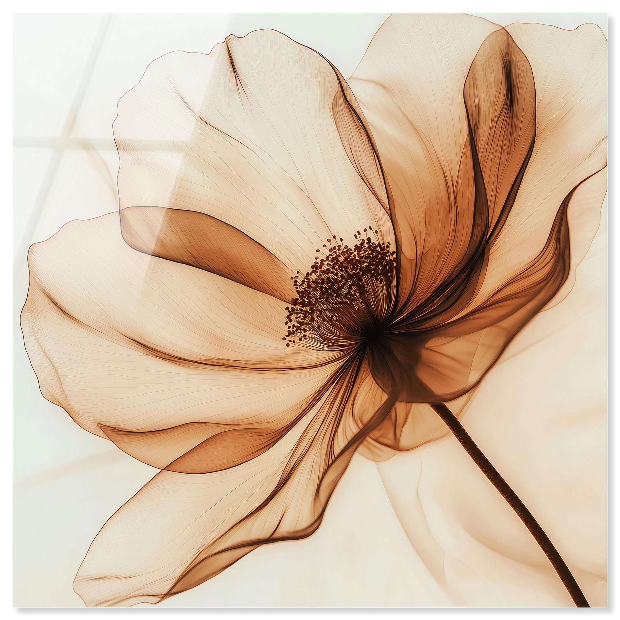Fragile Elegance II Acrylic Floral Wall Decor by Art Remedy, Ready to ...