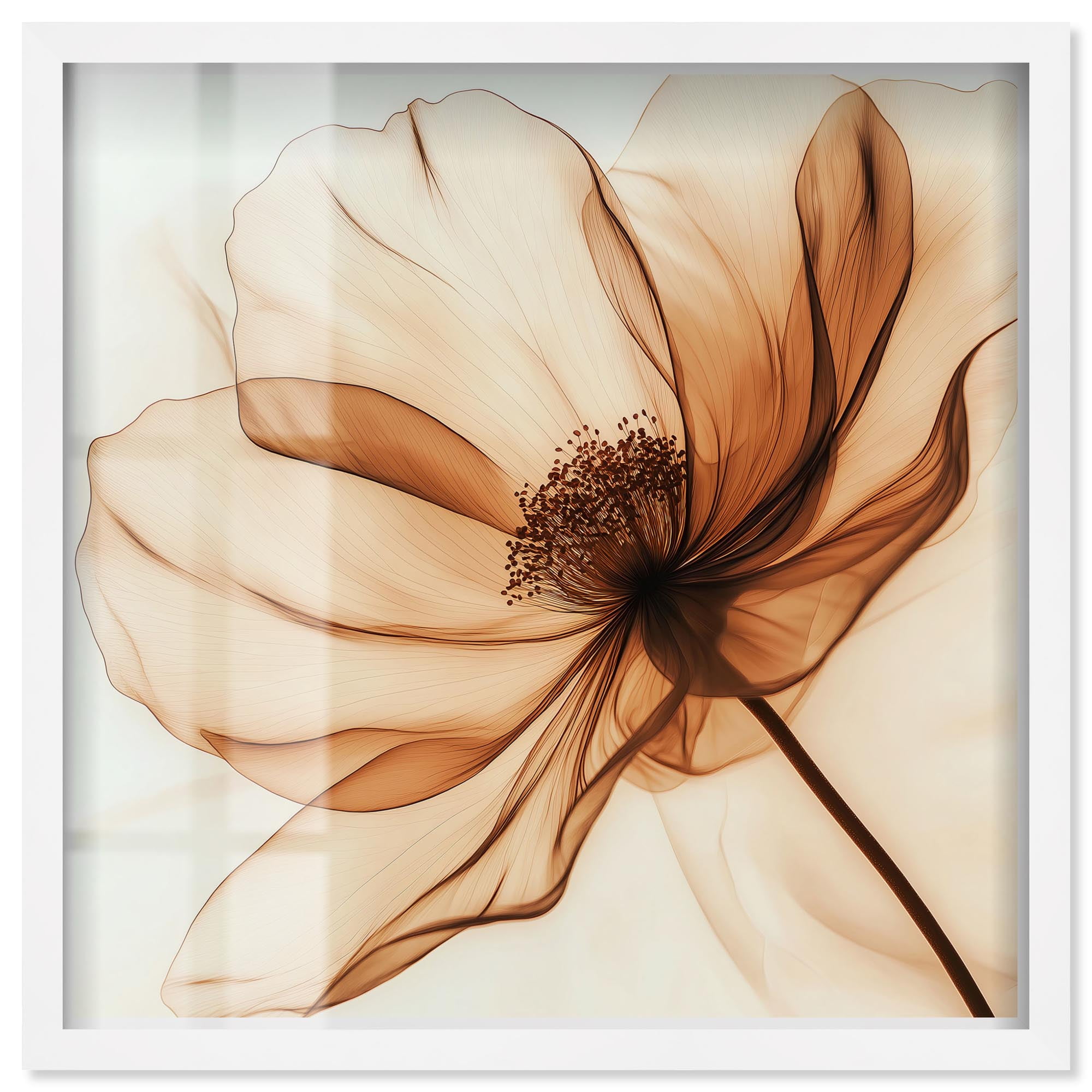 Fragile Elegance II Shadowbox Print Floral Wall Decor by Art Remedy ...