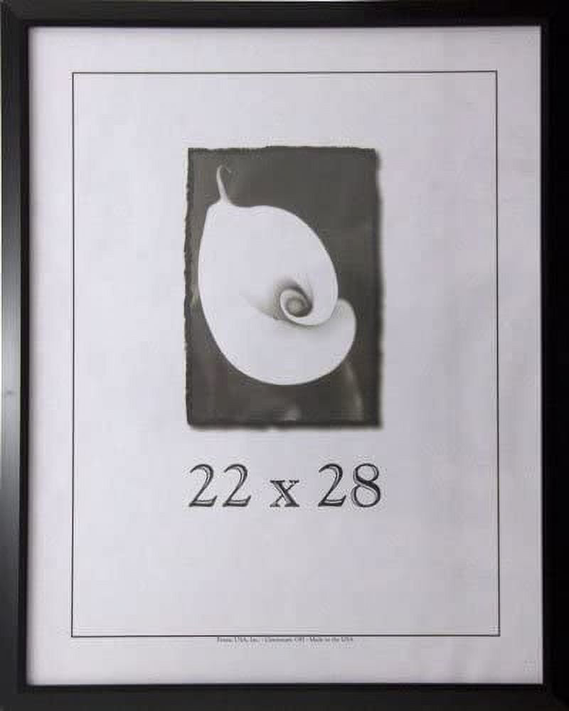 Frame USA Budget Saver Poster Picture Frame (22" x 28", Black ...