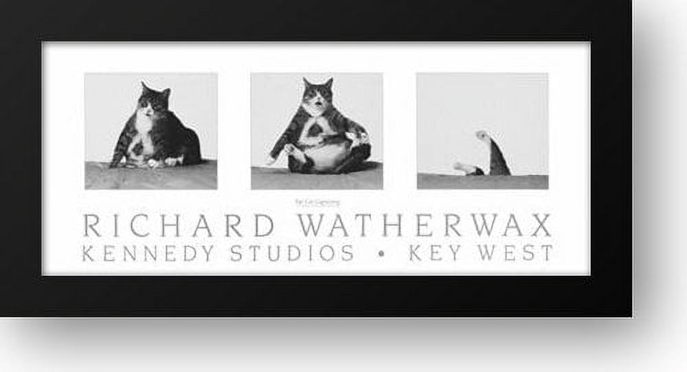 FrameToWall - Fat Cat Capsizing 29x15 Framed Art Print by Watherwax ...