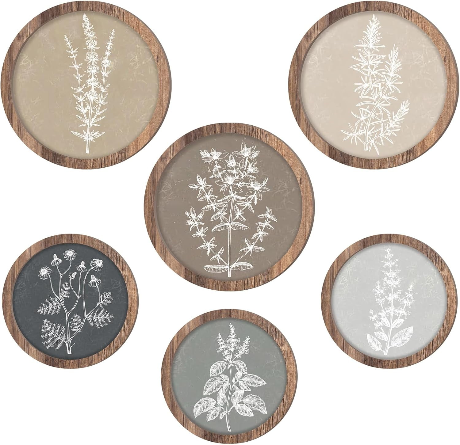 Framed Botanical Wall Art Set 6-Piece Vintage Boho Plant Prints Rustic ...