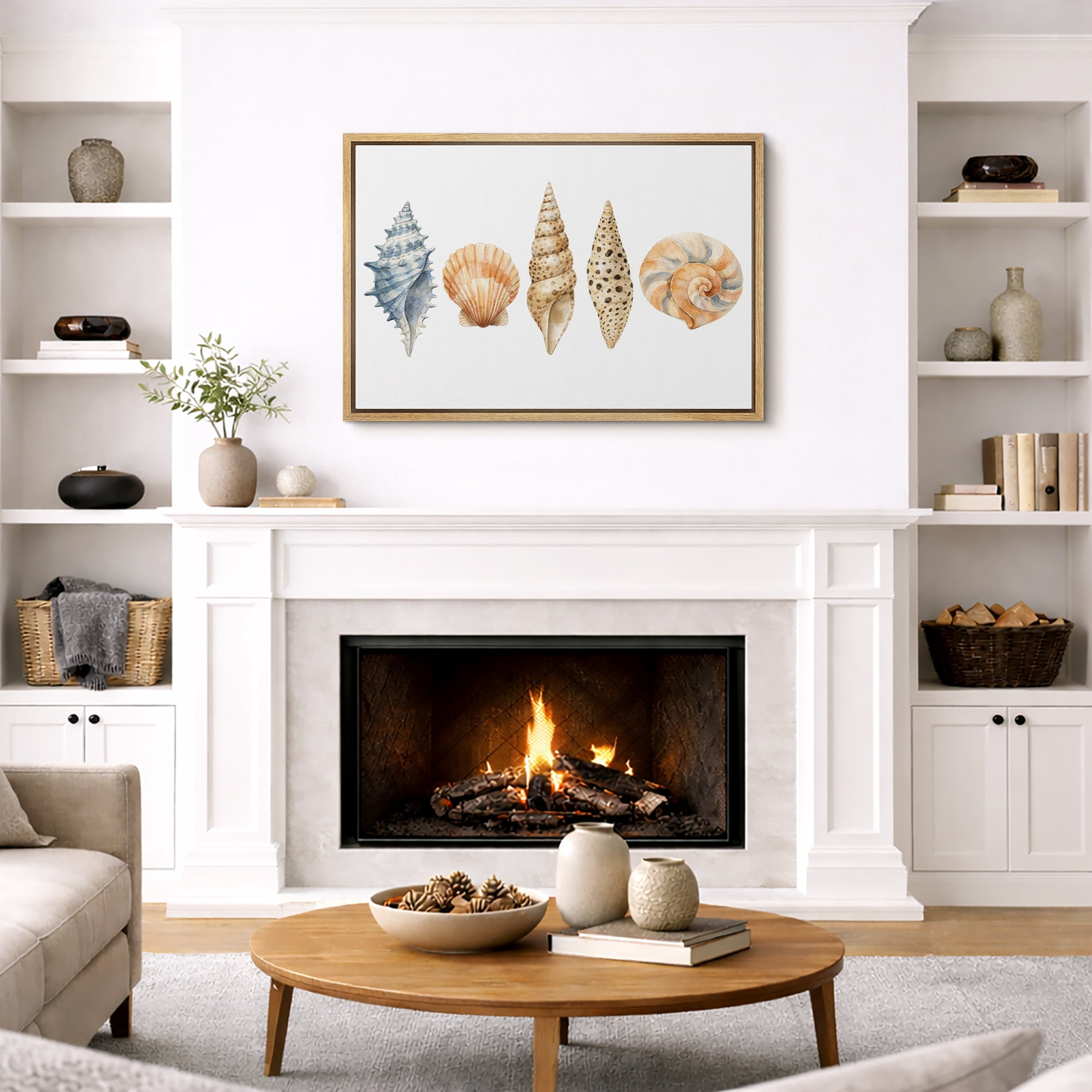 Framed Canvas Print Wall Art Assorted Seashells Study Print Coastal ...