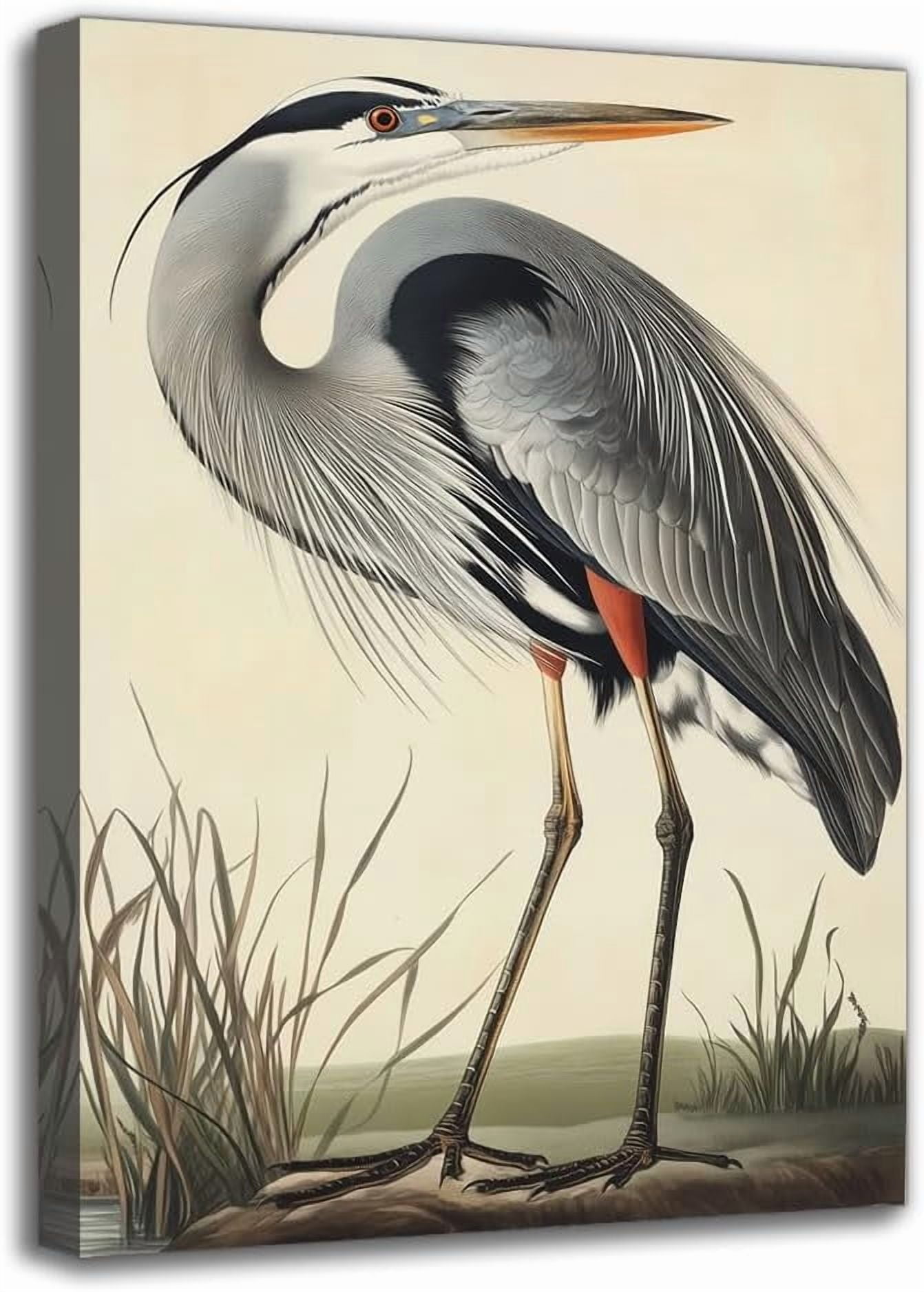 Framed Canvas Wall Art Painting - Great Blue Herons with Detailed ...