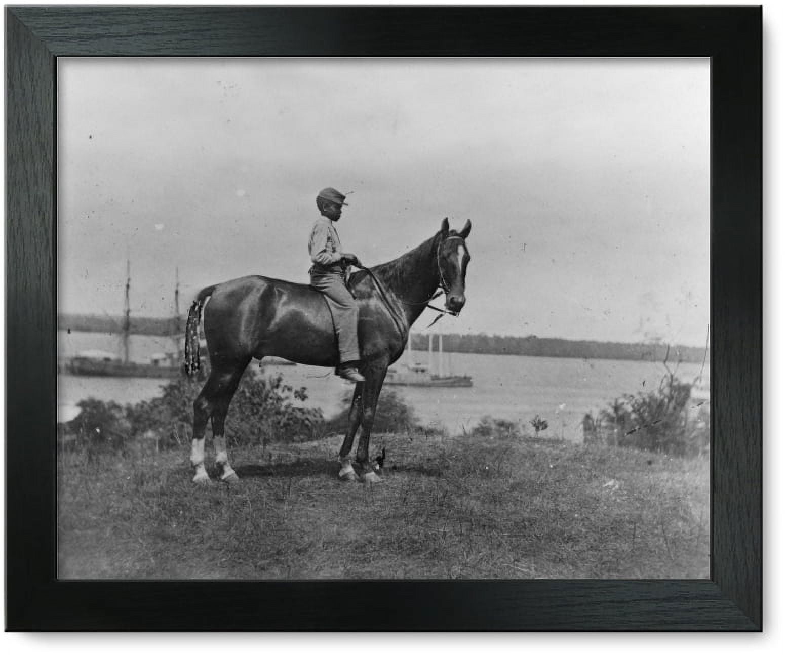 Framed Print: Gen. Rawlin's Horse Taken At Cold Harbor, Va., 1864 ...
