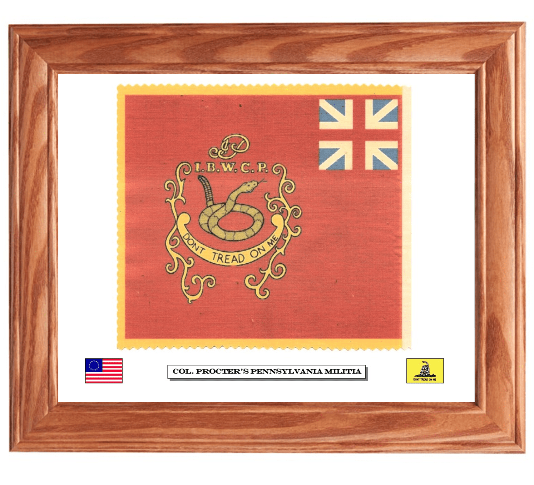 Framed Revolutionary War Flag ...John Procter Militia...Don't Tread On ...