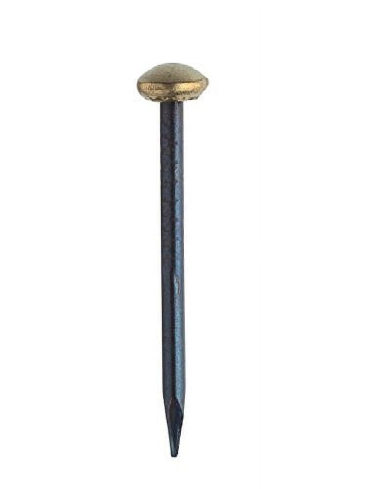 Framer Supply Brass Capped Steel Nails, 1 Inch, Pack of 100 - Walmart.com