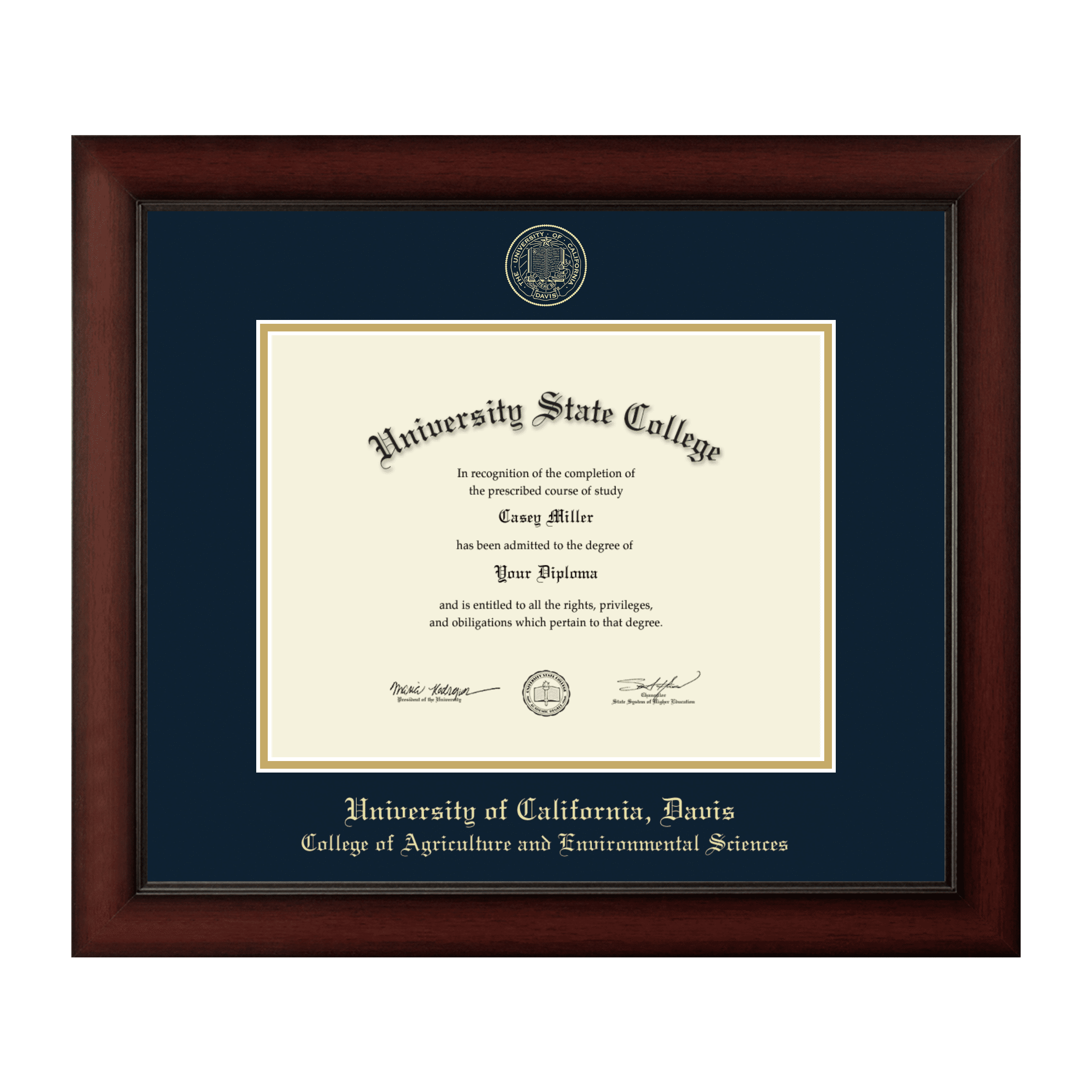 Framerly - UC Davis Environmental Diploma Frame with Navy and Gold Mat ...
