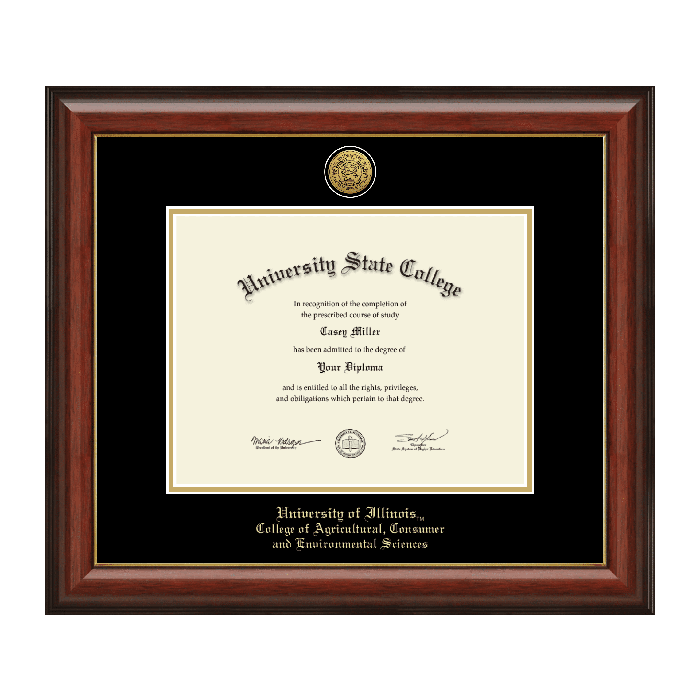 Framerly - UIUC Environmental Diploma Frame with Black and Gold Mat ...