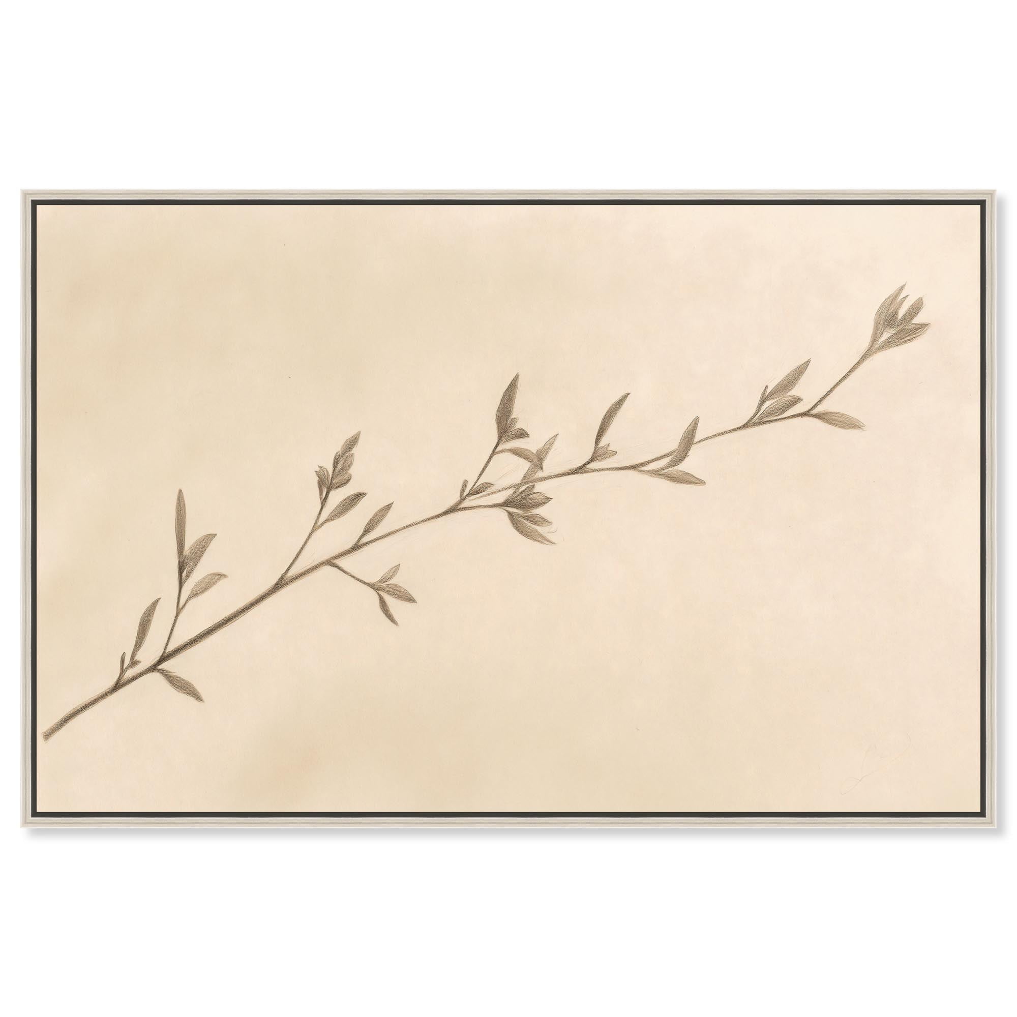 Framework of Life III Canvas Farmhouse Art by Art Remedy, Silver Frame ...