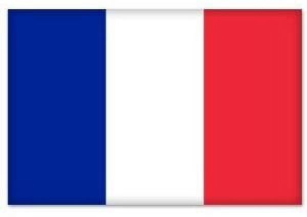 France French Flag car bumper sticker decal 6" x 4" - Walmart.com