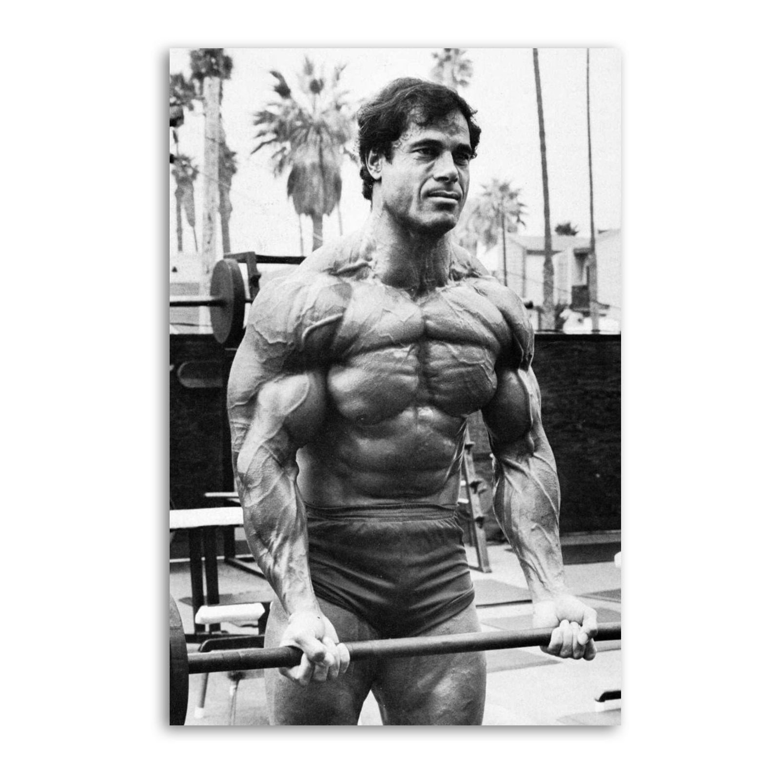 Franco Columbu Bodybuilding Poster Muscle Man Workout Art Poster Canvas ...