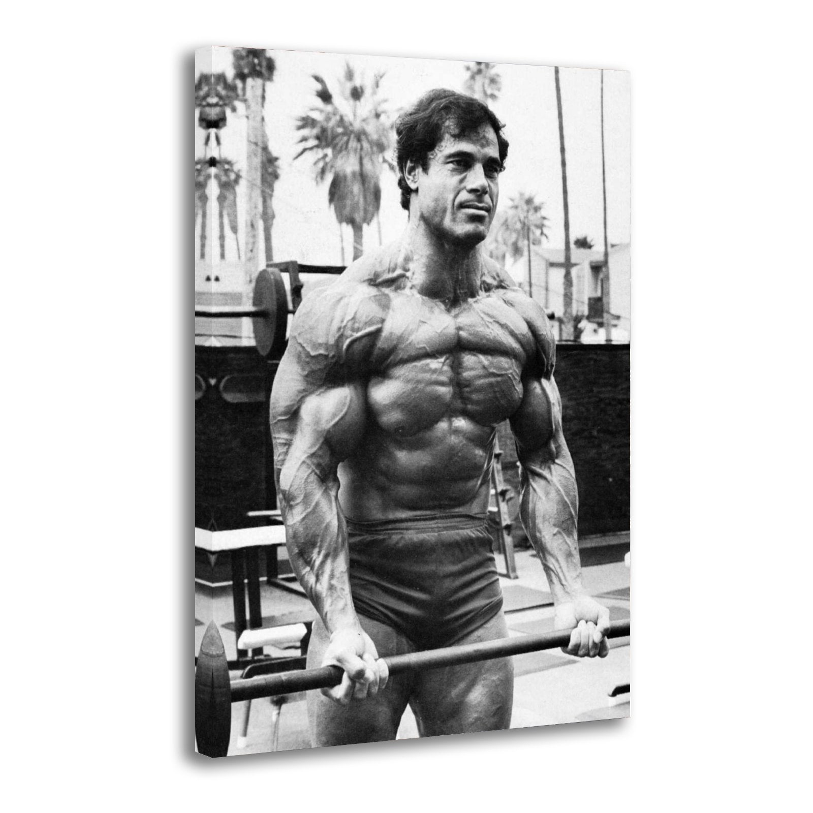 Franco Columbu Bodybuilding Poster Muscle Man Workout Canvas Poster ...