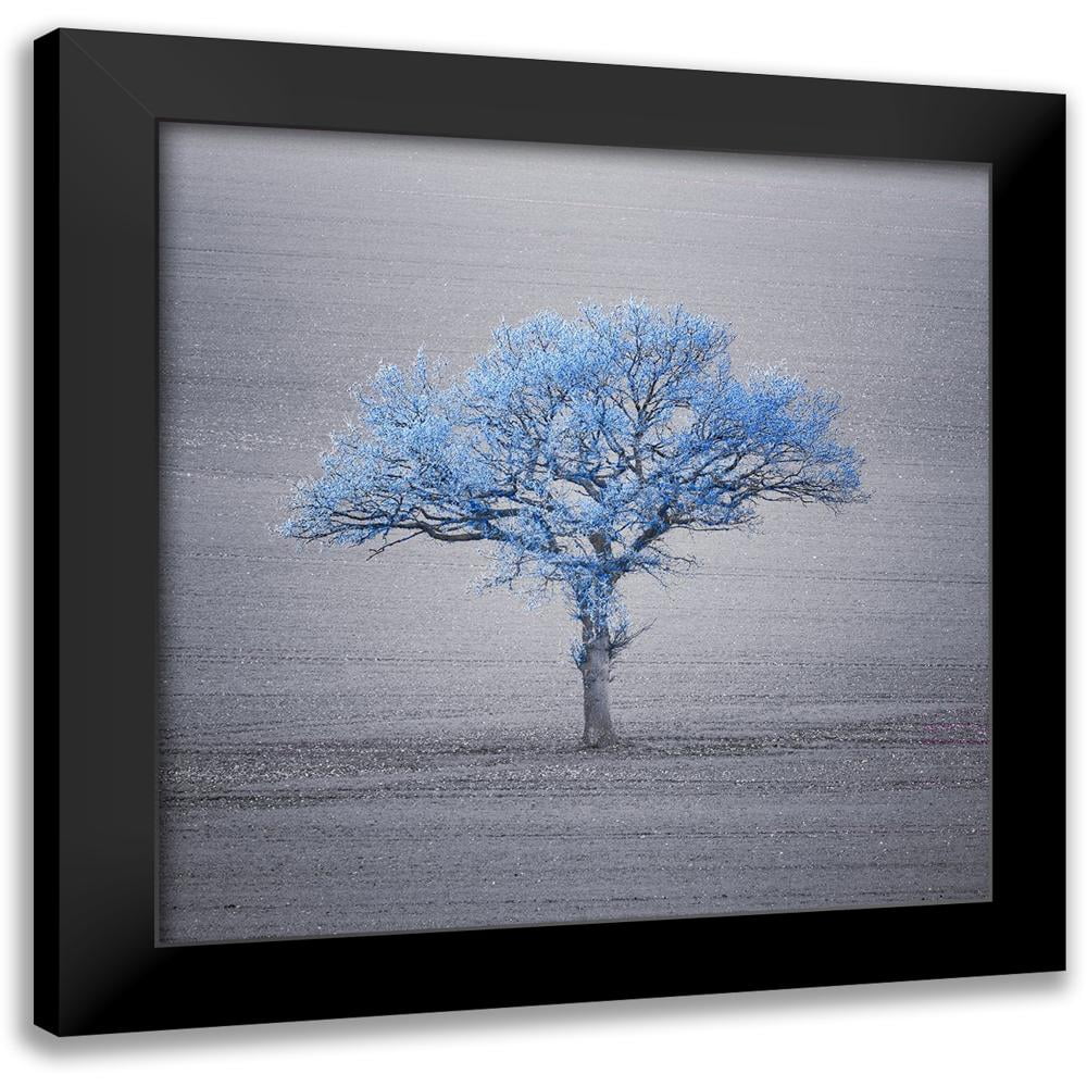 Frank, Assaf 12x12 Black Modern Framed Museum Art Print Titled - Single ...