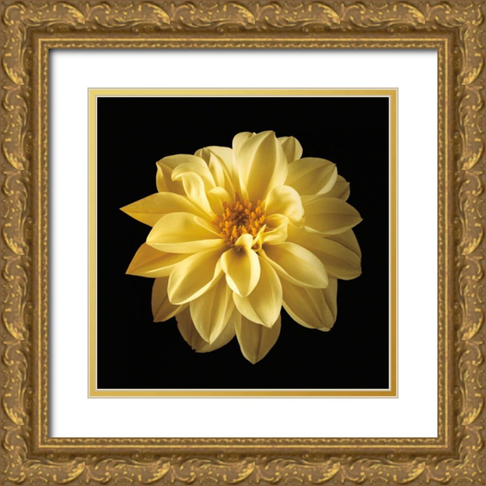 Frank, Assaf 12x12 Gold Ornate Wood Framed with Double Matting Museum ...
