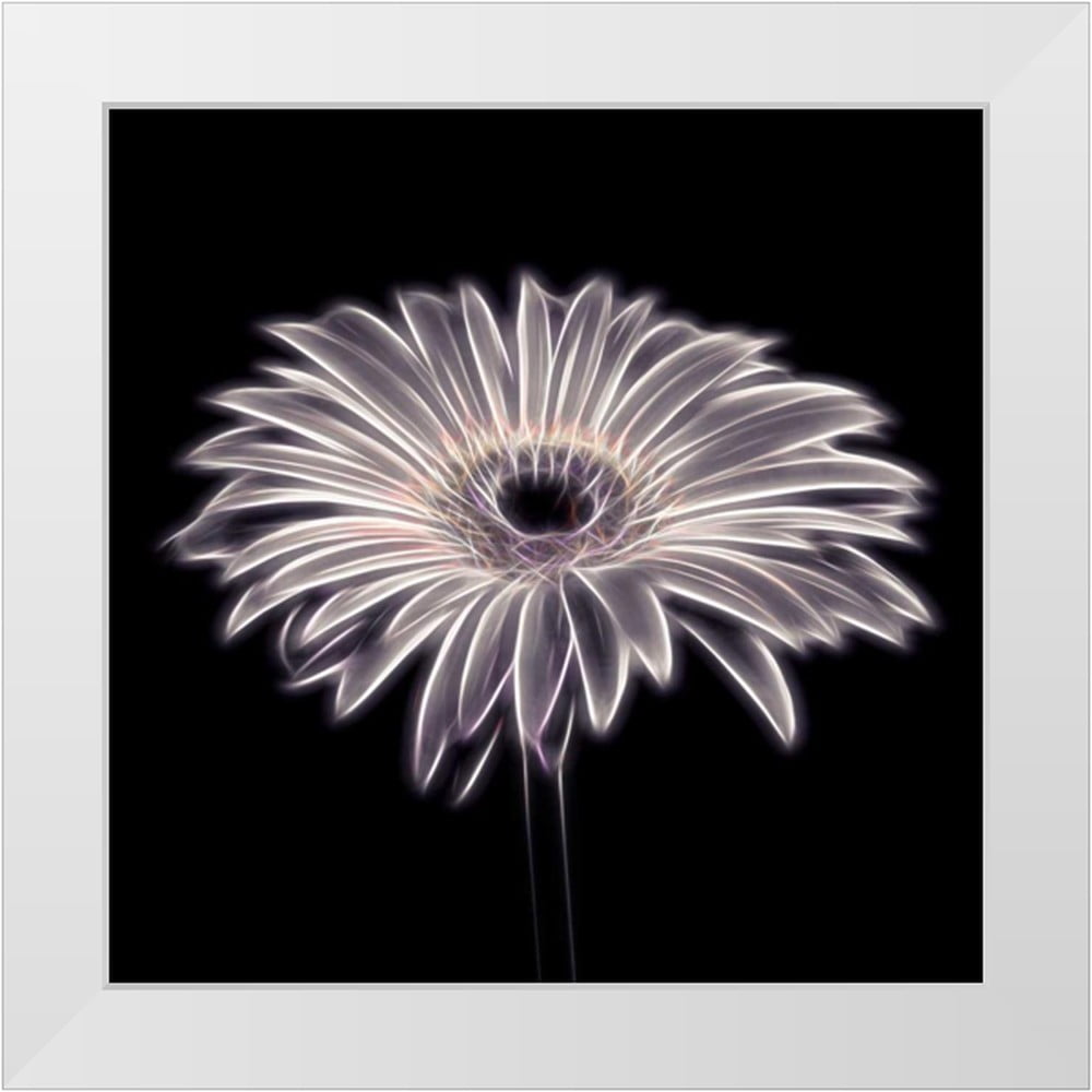 Frank, Assaf 12x12 White Modern Wood Framed Museum Art Print Titled ...