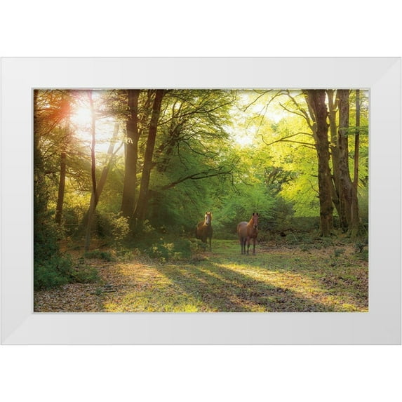 Frank, Assaf 14x11 White Modern Wood Framed Museum Art Print Titled ...