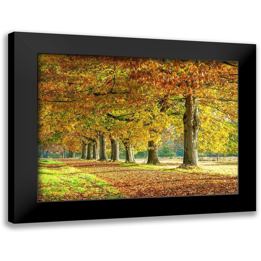 Frank, Assaf 14x12 Black Modern Framed Museum Art Print Titled - Row of ...