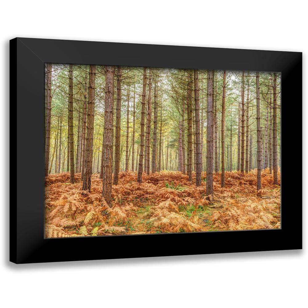 Frank, Assaf 14x12 Black Modern Framed Museum Art Print Titled - Tall ...