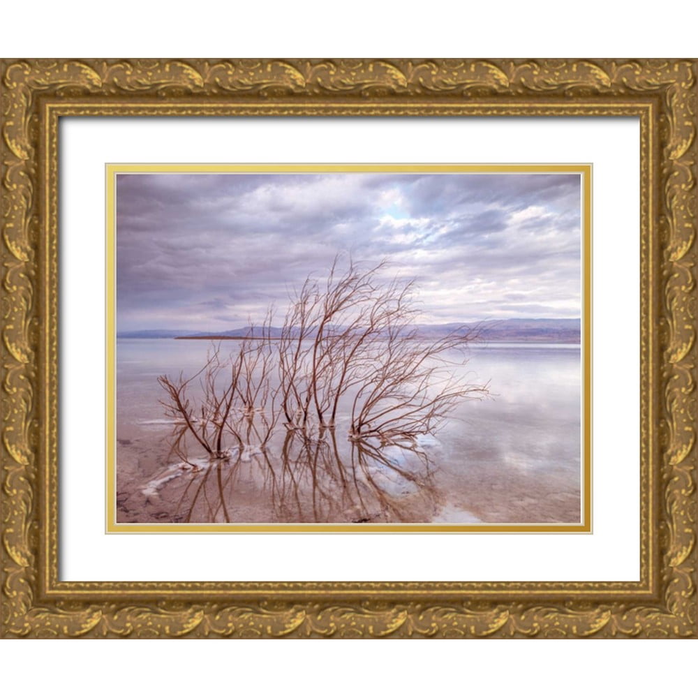 Frank, Assaf 14x12 Gold Ornate Wood Framed with Double Matting Museum ...