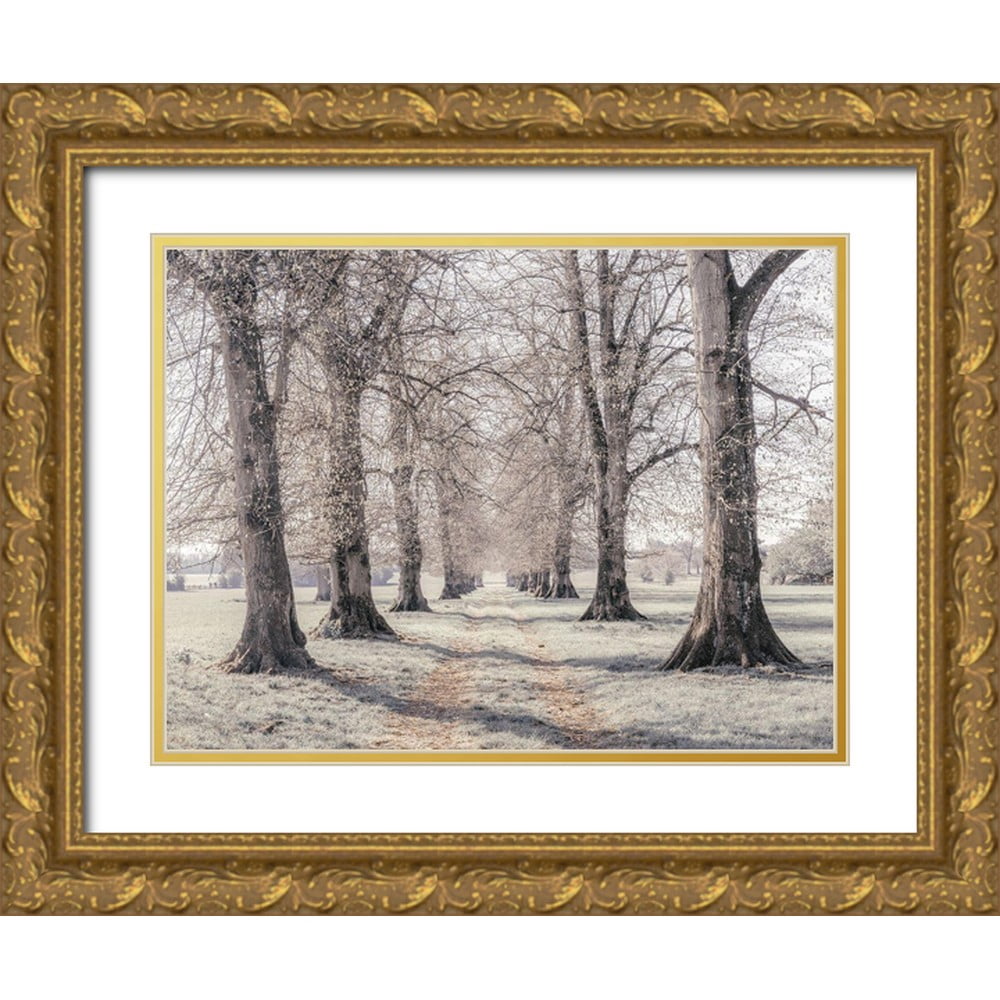 Frank, Assaf 14x12 Gold Ornate Wood Framed with Double Matting Museum ...