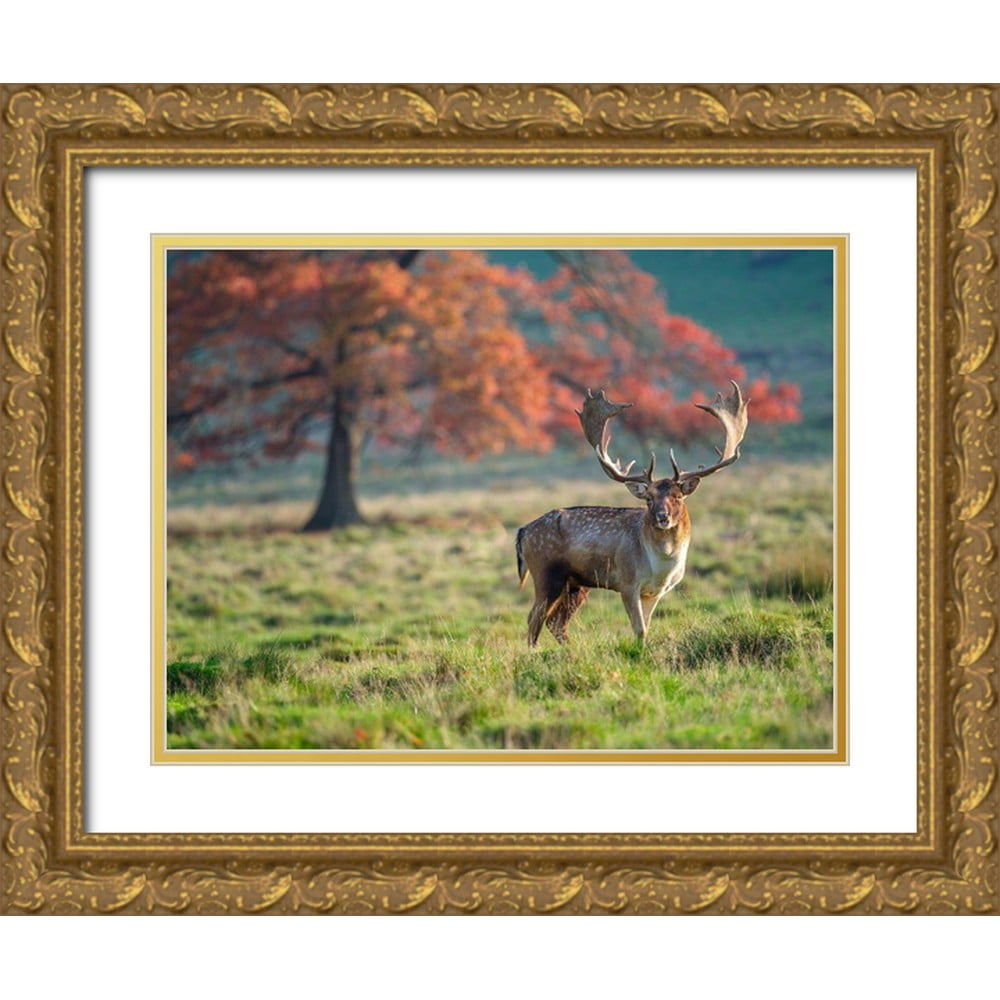 Frank, Assaf 14x12 Gold Ornate Wood Framed with Double Matting Museum ...